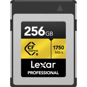 Lexar 256GB Professional CFexpress Type B Card GOLD Series - The Click ...